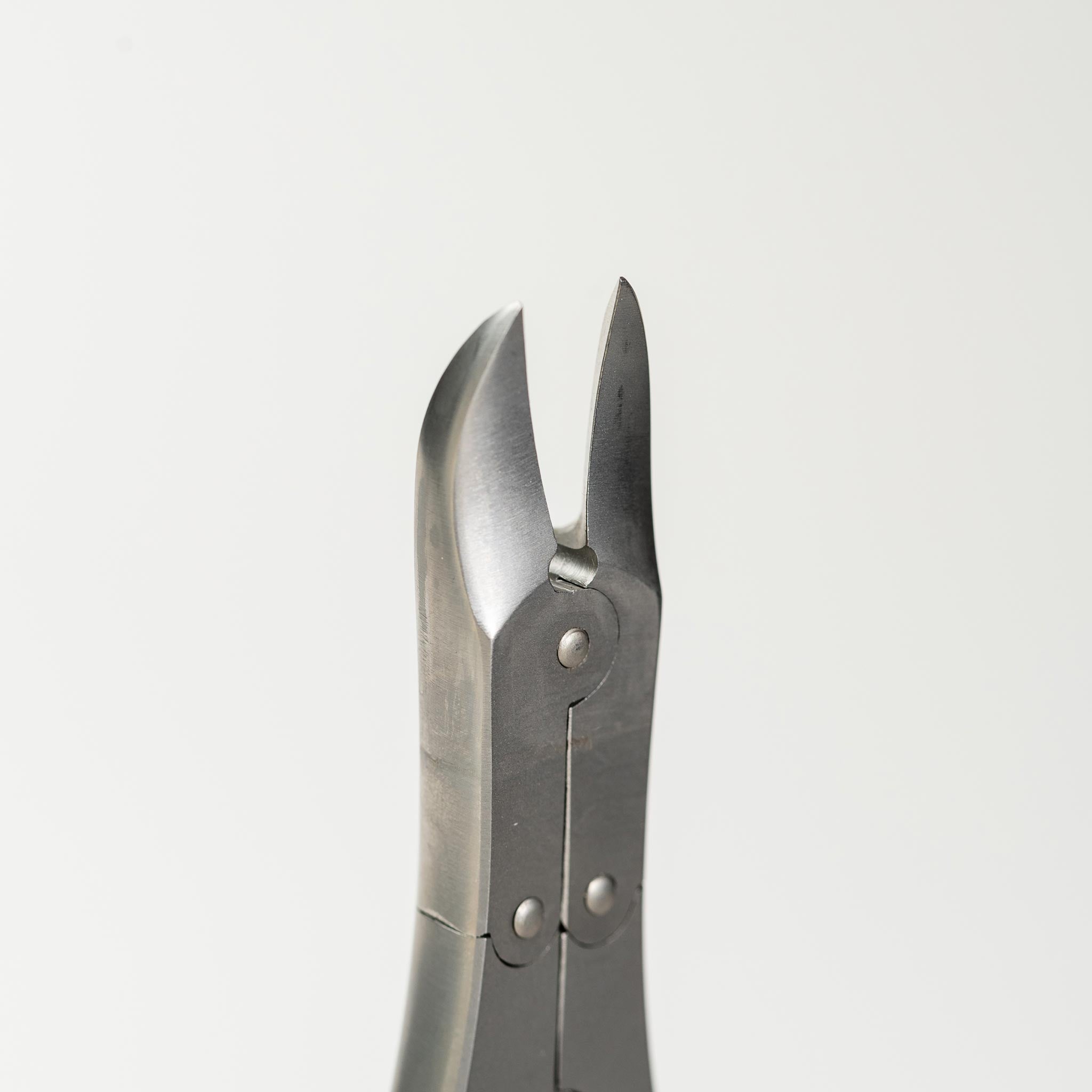 13 cm Podiatry Double-Action Tough Nail Nippers (17 mm Concave Cut) 6 ...